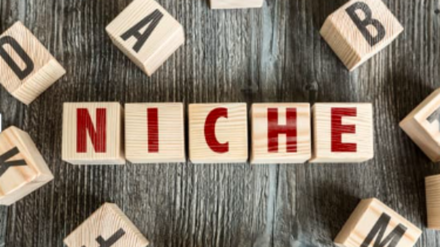 Exploring Micro Niches in Affiliate Marketing: A Definitive Guide | Blog